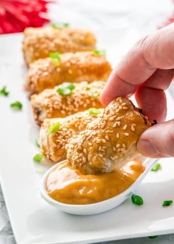 Asian Pork Rolls - Jo Cooks