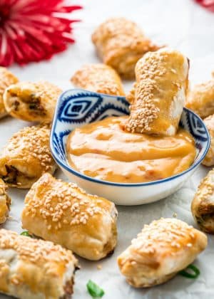 Asian Pork Rolls - Jo Cooks